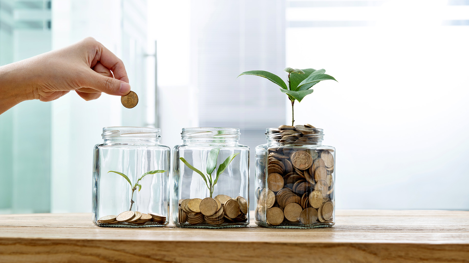 Labour Force And Wages – Looking at The Data – TPT Wealth